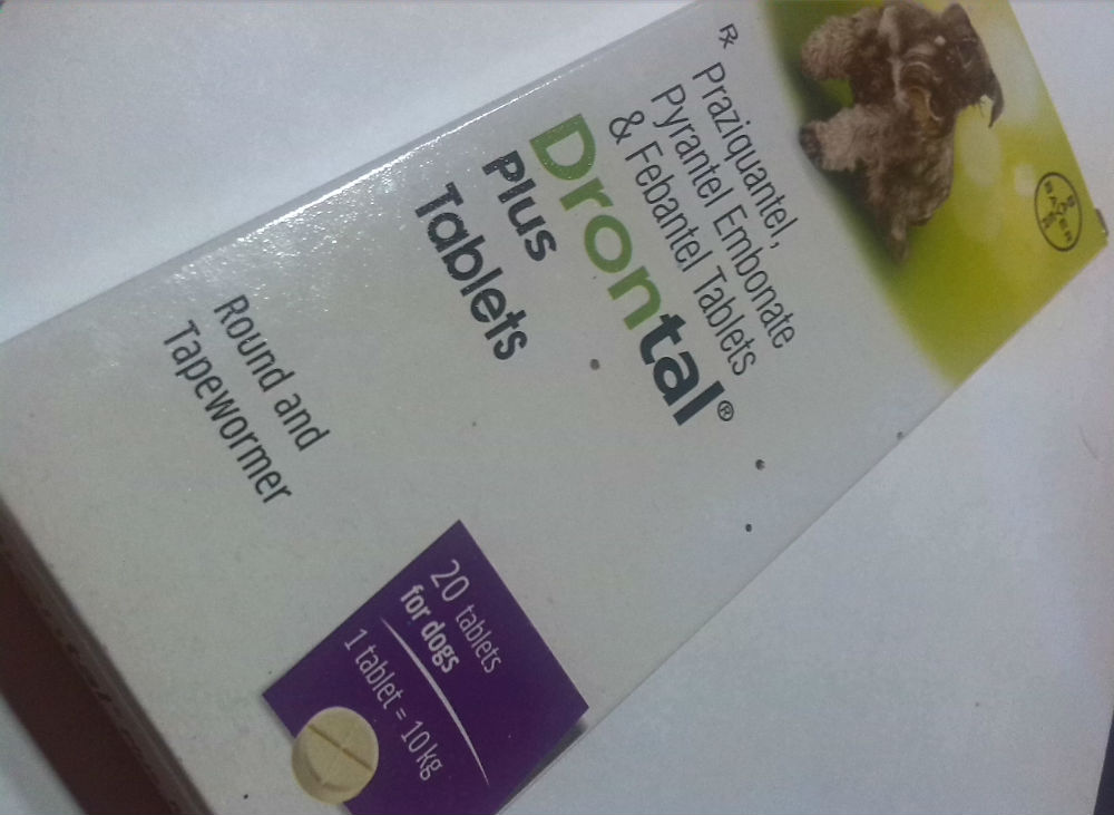 Buy low cost Drontal Plus for Dogs Bayer | UsPharmz
